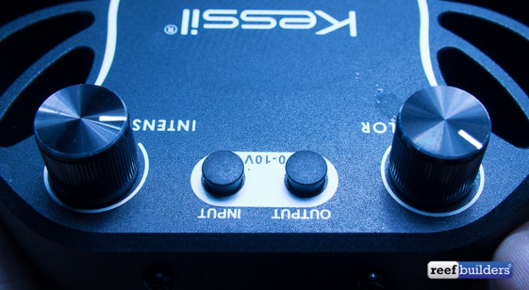 Kessil A80 Nano LED light now shipping | Reef Builders | The Reef and ...