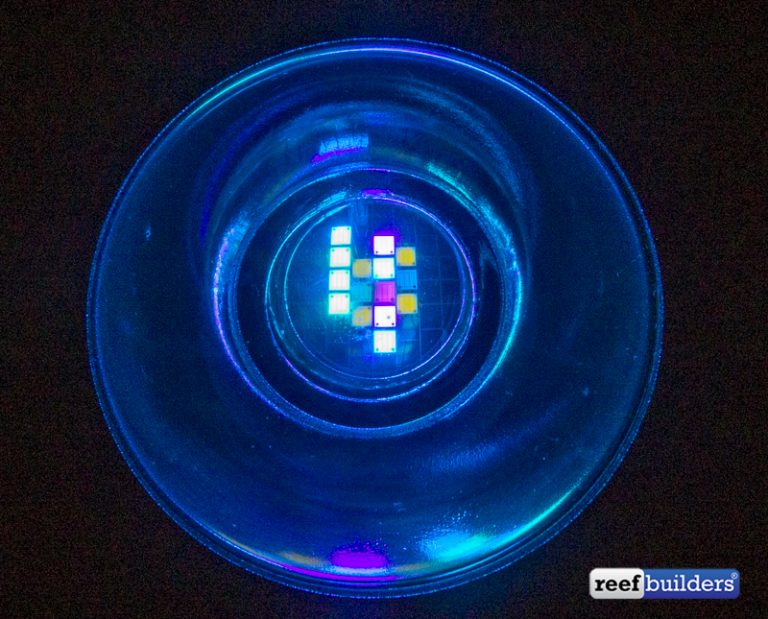 New Kessil A80 LED Tuna Blue for Reefs and Tuna Sun for Plants | Reef ...