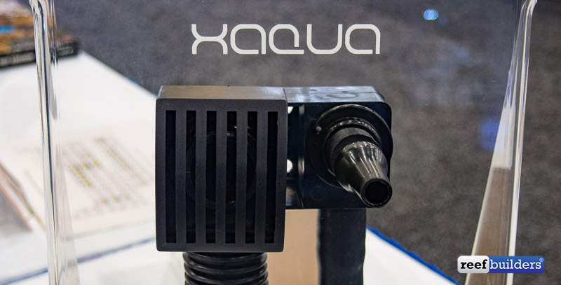 Xaqua InOut Pulsing Drain & Return Now Available from Two Little ...