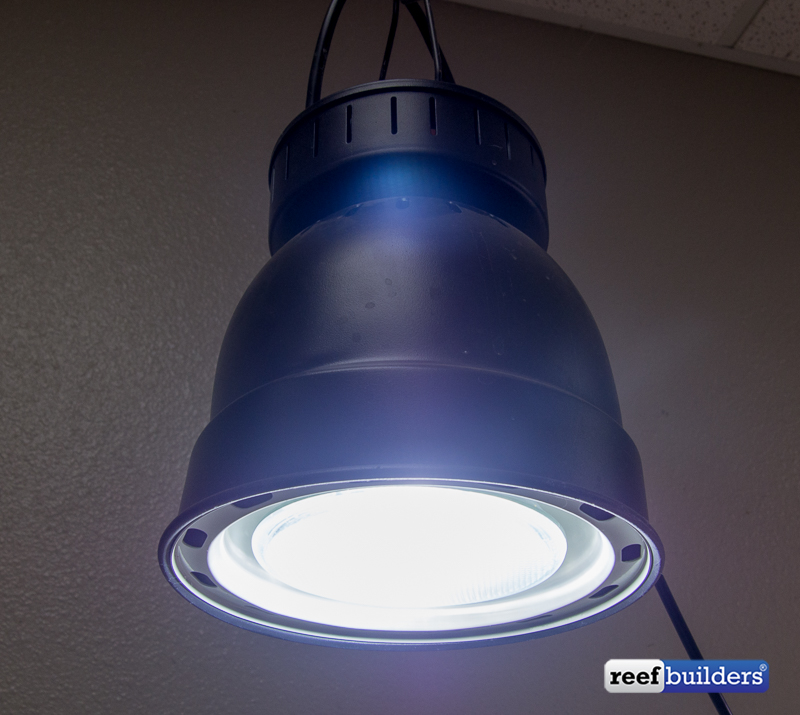 ZooMed Powersun H.I.D. Metal Halide UVB Lamp and Pendant | Reef ...