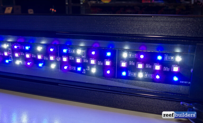 New 24/7 LED Striplight from Finnex | Reef Builders | The Reef and ...