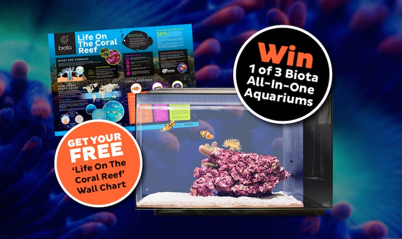 Take The Reef Quiz For A Chance To Win A Biota Aquarium | Reef Builders ...