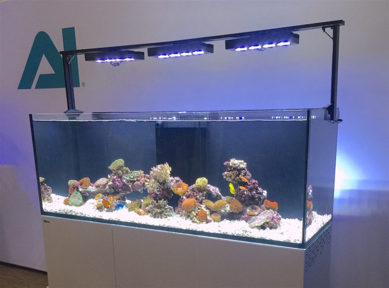 Hydra Mounting System Shows AI Is Serious About Light Placement | Reef ...