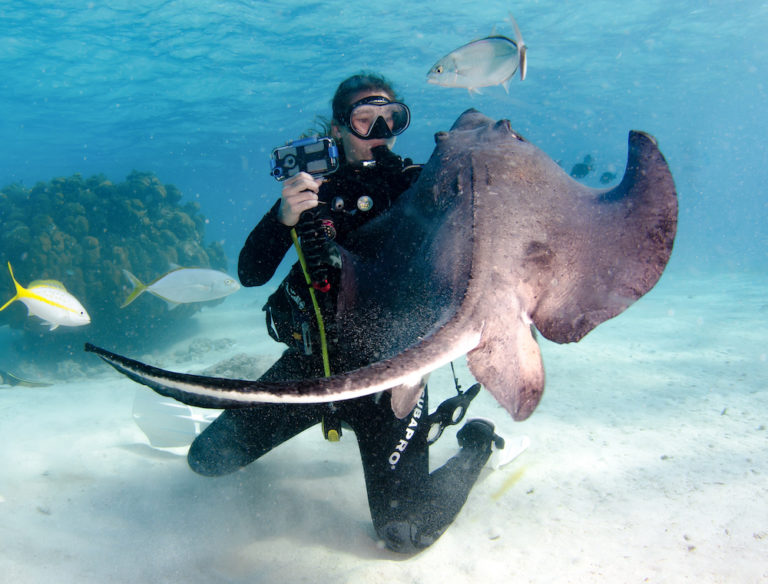 Scuba Diving With Stingrays In The Cayman Islands | Reef Builders | The ...