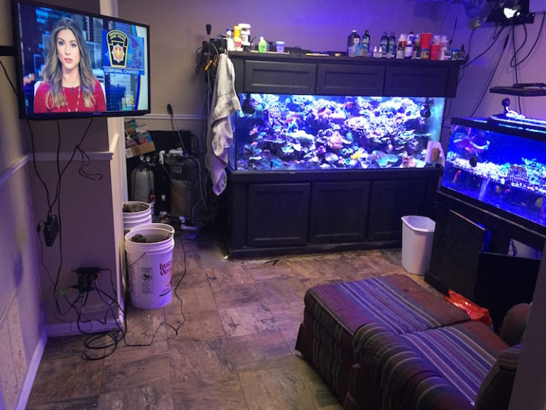 The Modern Reef Aquarium Fish Room | Reef Builders | The Reef and ...