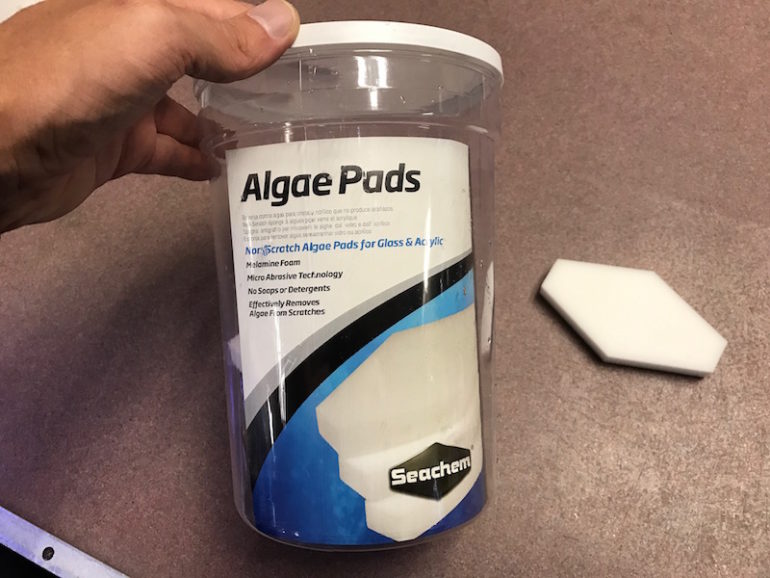 Seachem Algae Pads Gets Algae Out of Scracthes | Reef Builders | The Reef and Saltwater Aquarium ...