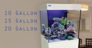 JBJ’s Cubey All In One Aquariums Coming In Larger Sizes | Reef Builders ...