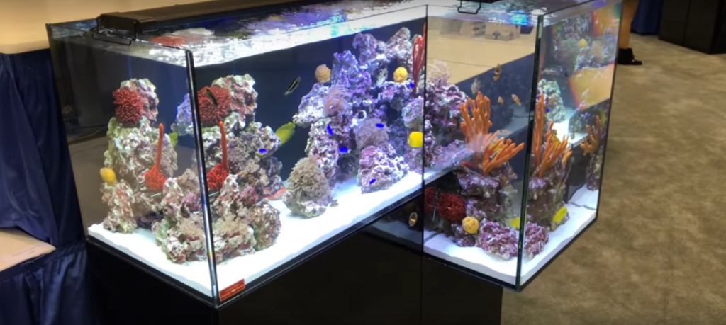 Seriphos Drop-Off Tank is One of the Most Unique Tanks You’ll Ever See ...