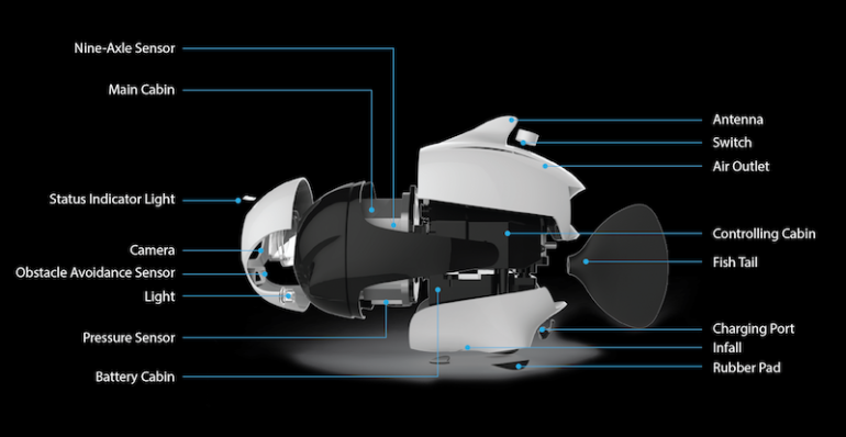Meet The Biki Robot, a Webcam That Swims In The Water! | Reef Builders ...