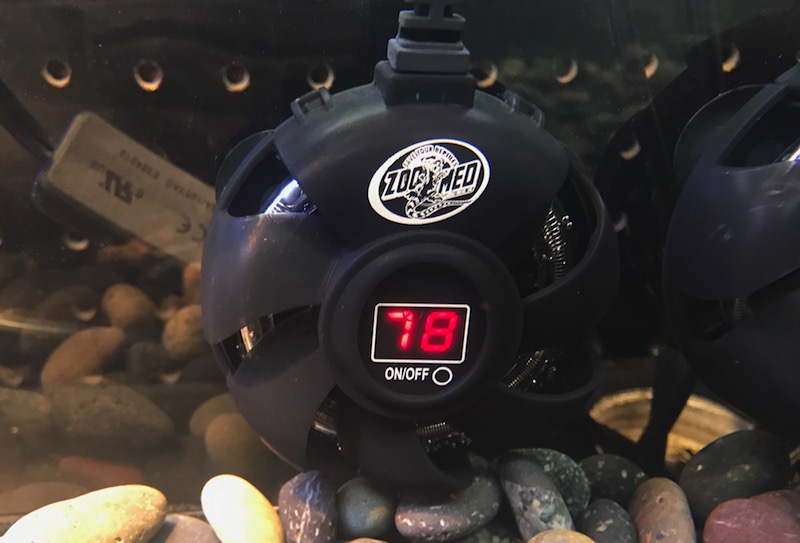 Turtletherm Is A Wild New Kind of Aquatic Heater | Reef Builders | The ...