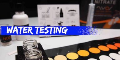 Important Water Parameters For Keeping A Saltwater Aquarium | Reef ...