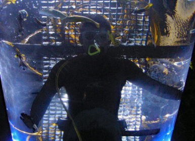 Time To Clean Your Glass? A Clarifying Guide To Aquarium Cleaning ...