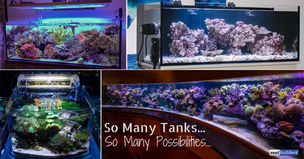 So Many Tanks…So Many Possibilities… | Reef Builders | The Reef and ...