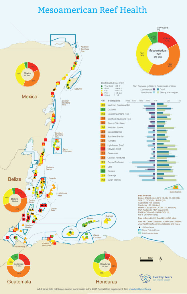 Healthy Reefs For Healthy People | Reef Builders | The Reef and ...