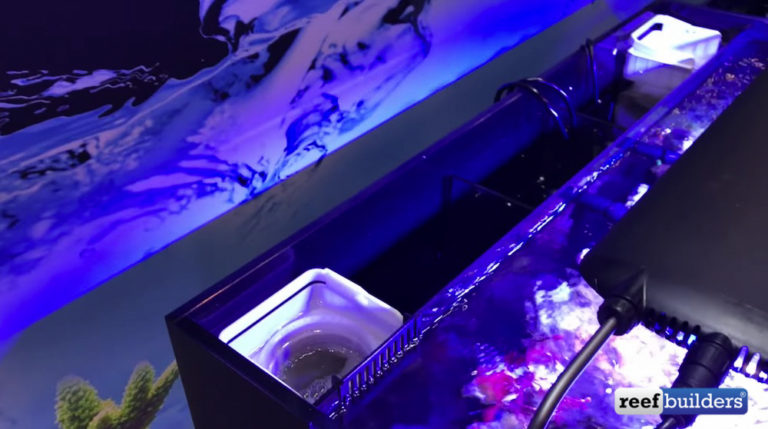 JBJ Releases The New Rimless Midsize Flat Panel Aquariums | Reef ...