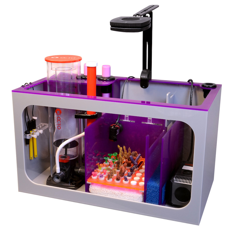 The Frag Fuge Reef Sump Is A Proper Coral Nursery | Reef Builders | The ...