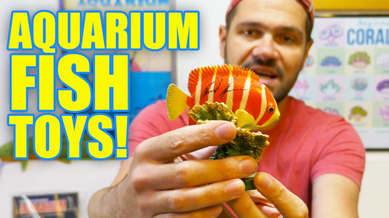 Unboxing Some Gorgeous & Lifelike Aquarium Fish TOYS! | Reef Builders ...