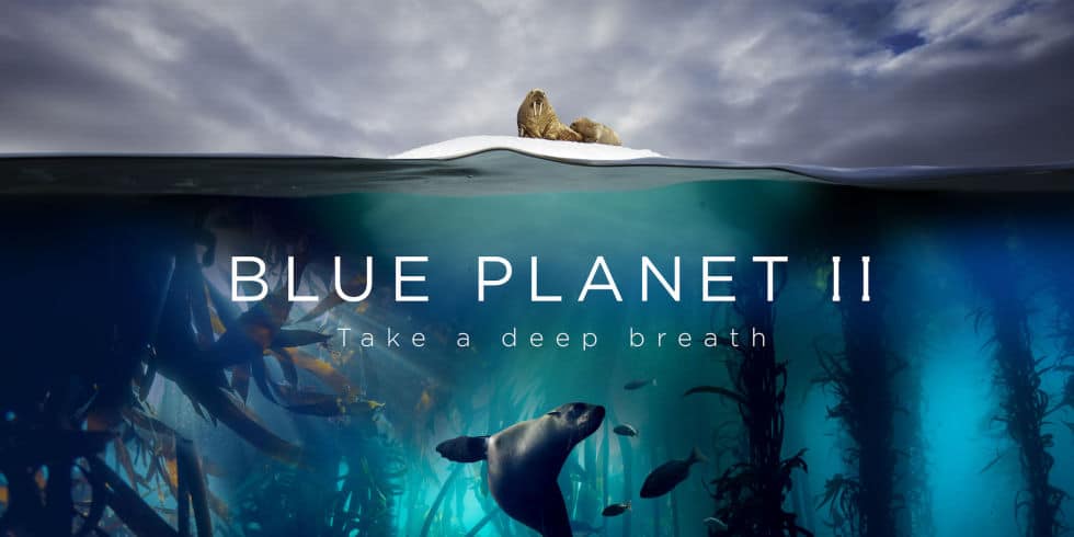 New Trailer For Blue Planet II Is Next Level Cinematography | Reef ...