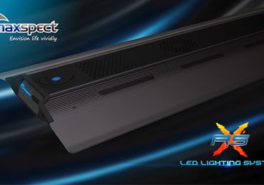 Tag: maxspect razor | Reef Builders | The Reef and Saltwater Aquarium Blog