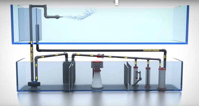 Maxspect Turbine Duo Demonstration Video | Reef Builders | The Reef and ...