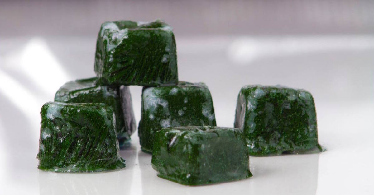 AlgaGen PhycoPure SeaPro, Frozen Phytoplankton For Your Reef Tank ...