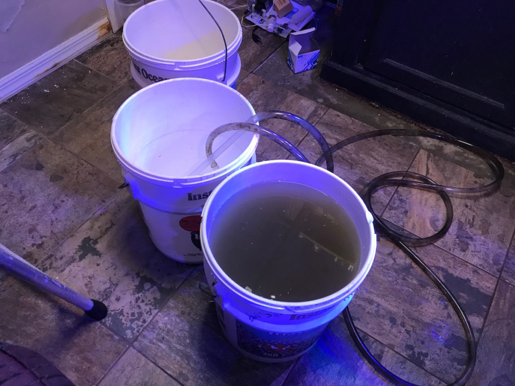 Things You Need To Do And Should Be Doing Regularly | Reef Builders ...