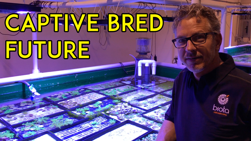 Visit To The Biota Aquariums Headquarters (Video) | Reef Builders | The ...
