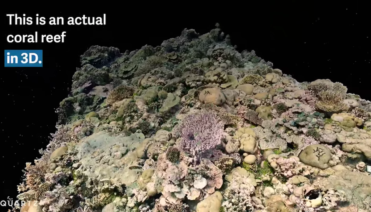 WATCH: 3D Photogrammetry Maps of Coral Reefs | Reef Builders | The Reef and Saltwater Aquarium Blog