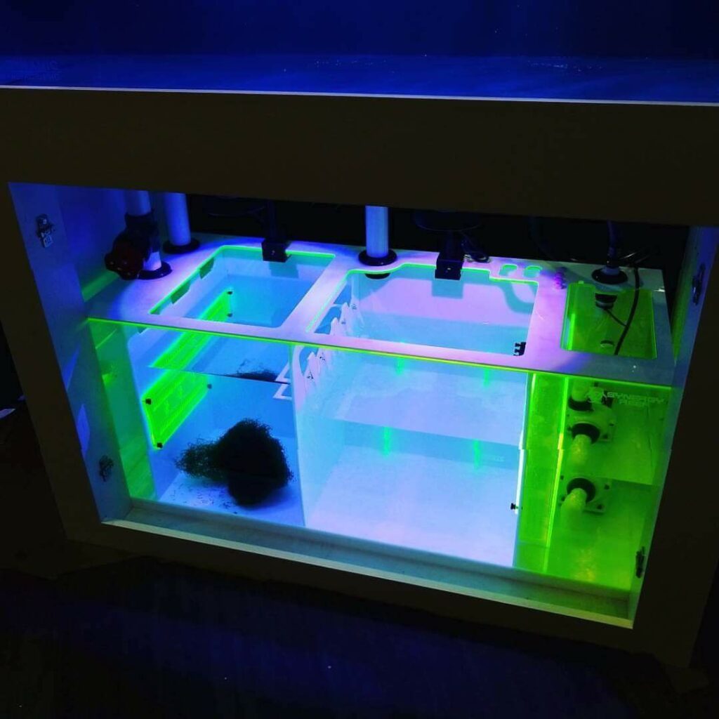 Synergy Reef TS-44 Sump is one psychedelic Triton method sump | Reef ...