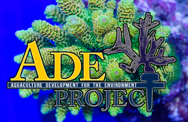 Aquaculture ADE Project Might Be The Best Counter to Fiji Coral Ban ...
