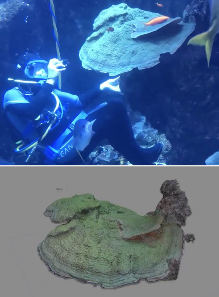 Watch How Expedition Reef Visualization Was Made At The California ...