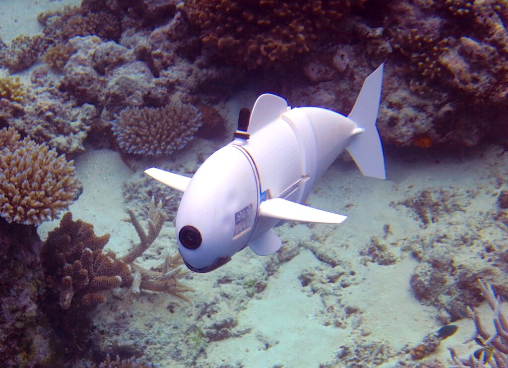 Friday Smorgasbord: Robotic Fish Edition | Reef Builders | The Reef and ...
