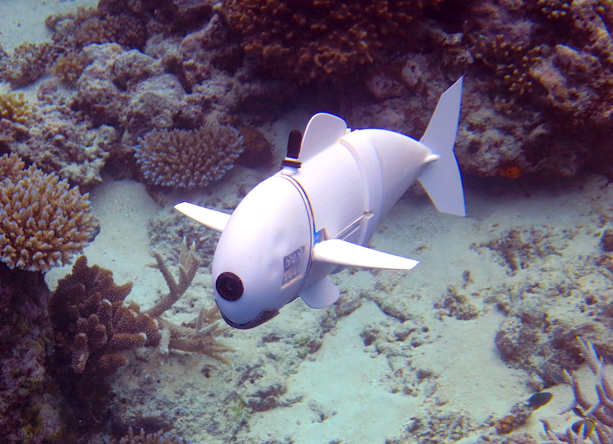 Friday Smorgasbord: Robotic Fish Edition | Reef Builders | The Reef and ...