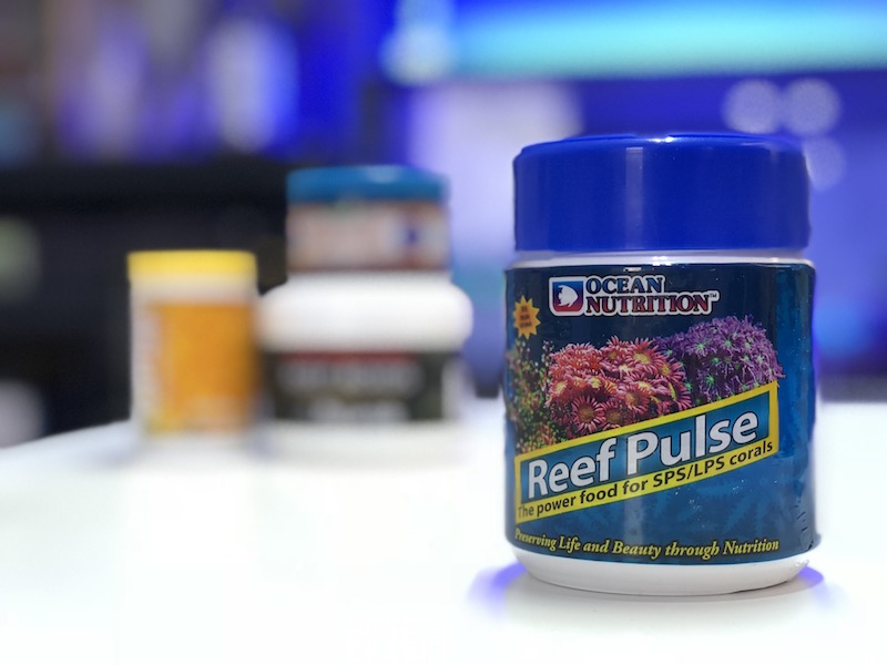 Hands On and Close Up with Reef Pulse Coral Food | Reef Builders | The ...
