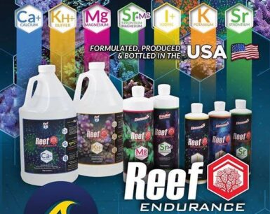 Reef Endurance is a new brand of liquid supplements | Reef Builders ...