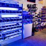 Fragbox Corals Reef Aquarium Store in Toronto Canada | Reef Builders ...
