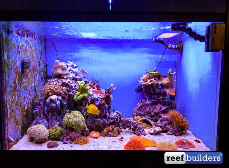 What It’s Like To Be A Reefer In Saskatchewan Canada | Reef Builders ...