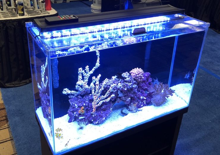 Tag: aqueon aquarium | Reef Builders | The Reef and Saltwater Aquarium Blog