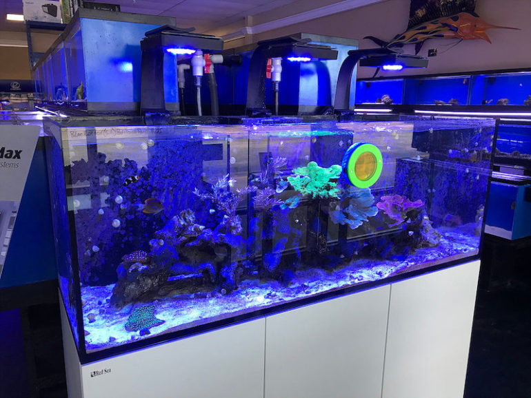 Coral Vision C-137 2-in-1 Reef Tank Viewer by Fireline Optix | Reef ...