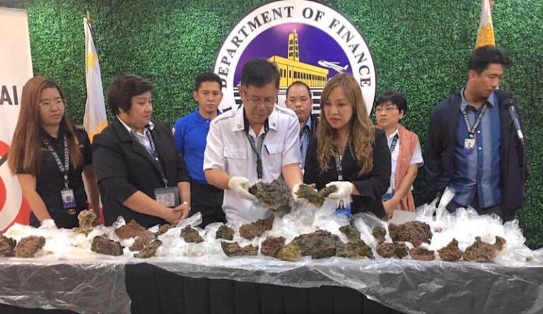 Coral Smuggler Busted in the Philippines with over 250 Chalice Corals ...