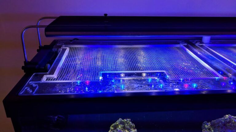 Clearview Lids Adds Semi-Modular Tsunami Lids to their Catalog | Reef ...