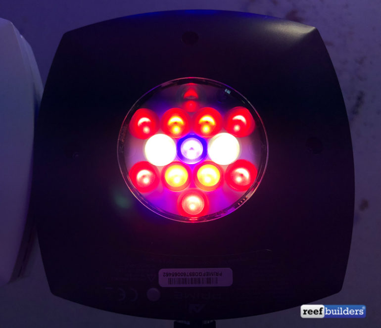 AI Prime Fuge Review: An LED Light With Uncompromising PAR Power | Reef ...