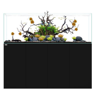 Waterbox’s New Rimless Aquariums for Freshwater & Custom Reefs | Reef ...