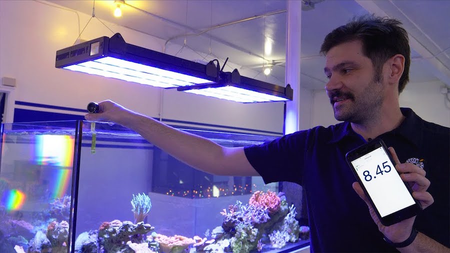 How to Actually Make Corals Grow Faster, High pH | Reef Builders | The ...