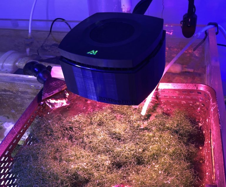 The Versatility of 3D Reefing’s Diffusers fro AI Prime and Hydra Lights ...
