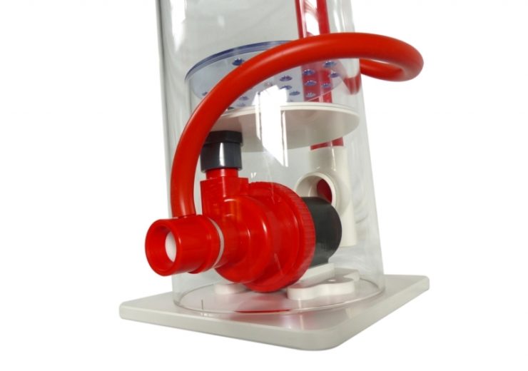 Tag: Royal Exclusiv | Reef Builders | The Reef and Saltwater Aquarium Blog