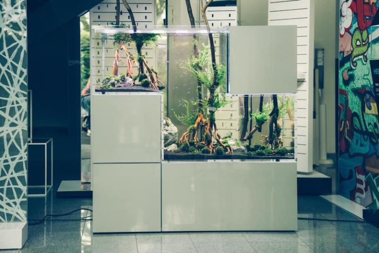 New Wave Made a Striking Tetris Shaped Concept Aquarium | Reef Builders ...