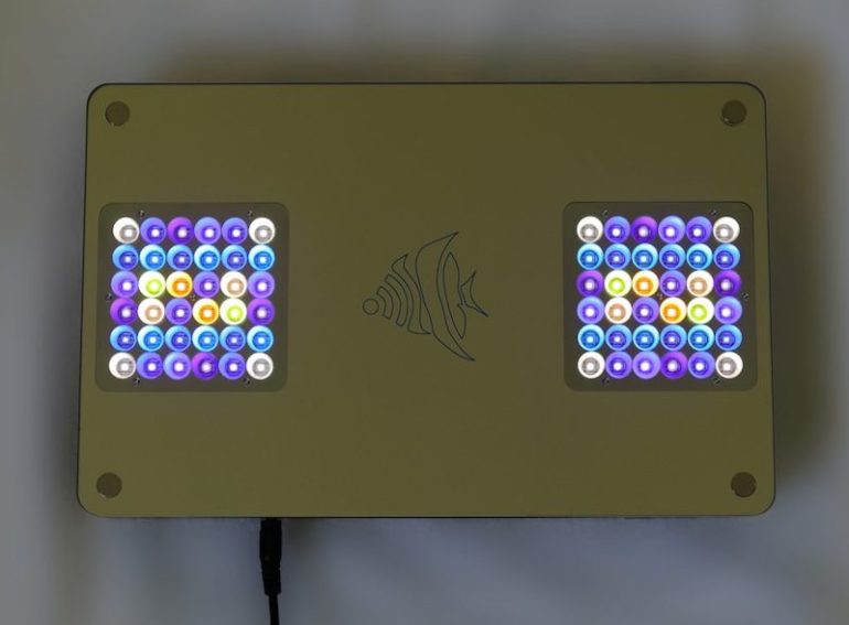 Reefi Duo LED is All About Crazy Color | Reef Builders | The Reef and ...