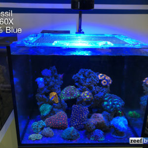 Red Sea ReefLED Review; the Best First-Generation LED Light to Date ...