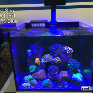 Red Sea ReefLED Review; the Best First-Generation LED Light to Date ...